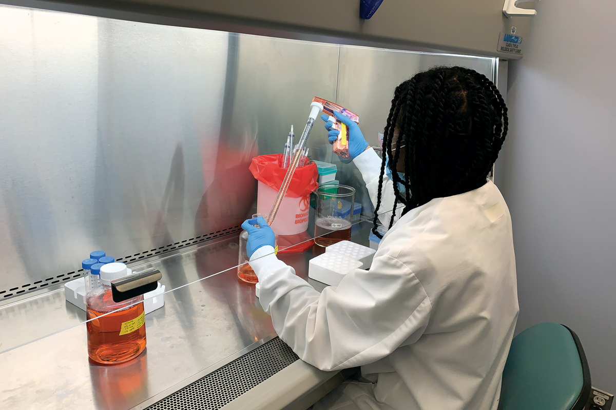 Westchester's Regeneron Unveils Its Antibody Cocktail Treatment Plan