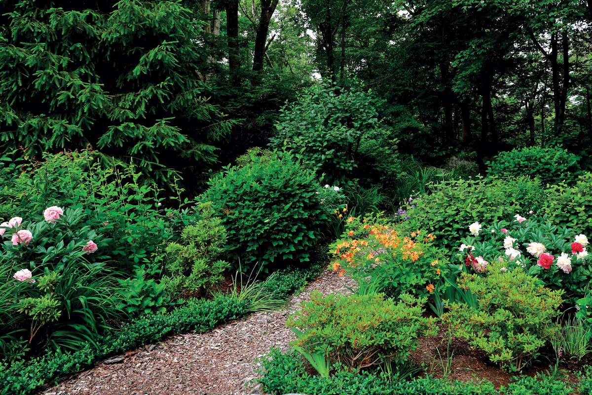This Wild Garden Breaks the Boundaries of Everyday Landscaping