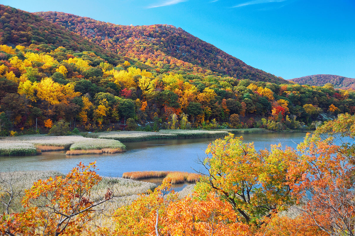 5 Gorgeous Westchester County Trails for Seeing Fall Foliage