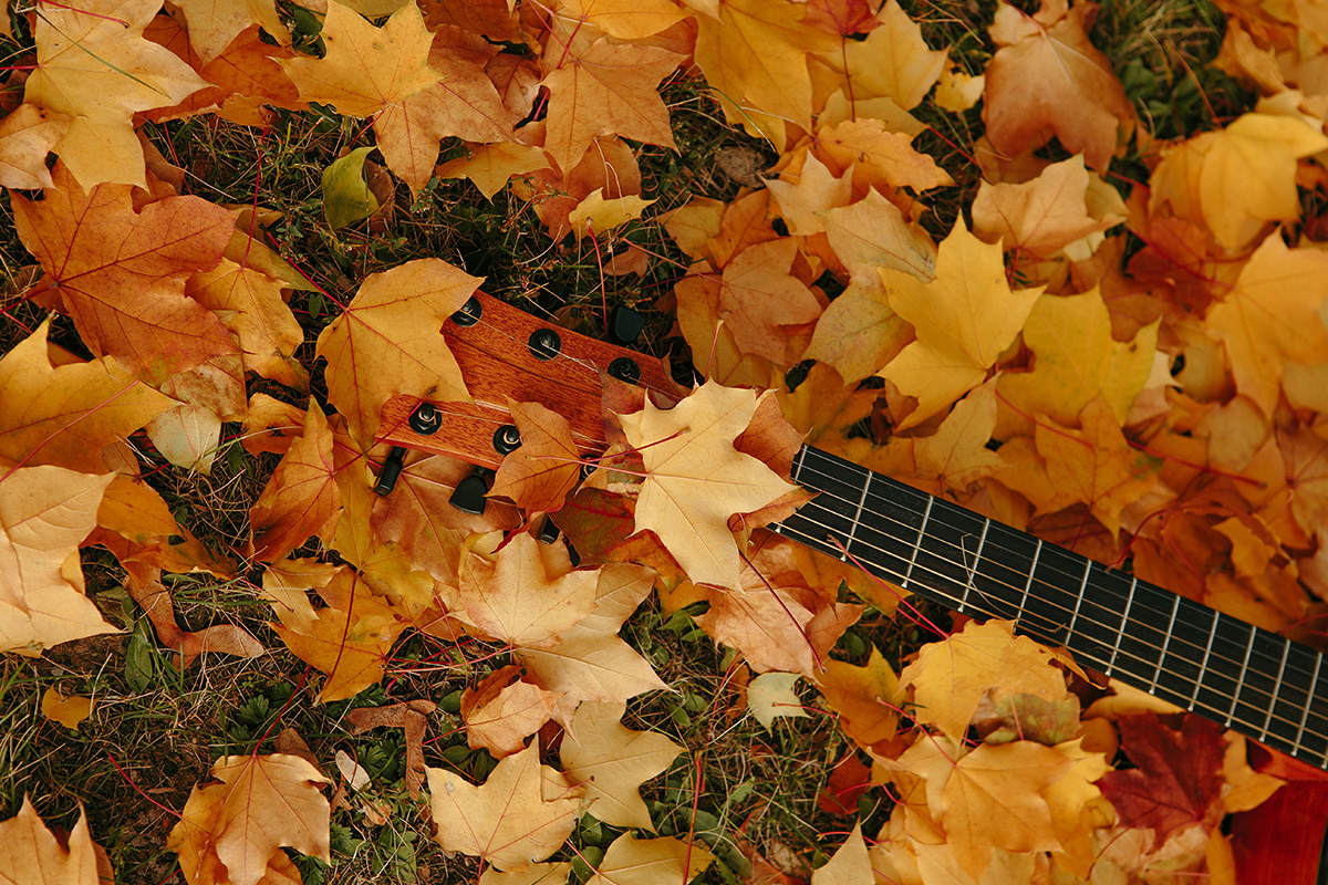 The Fall Concerts to Bookmark in Westchester County