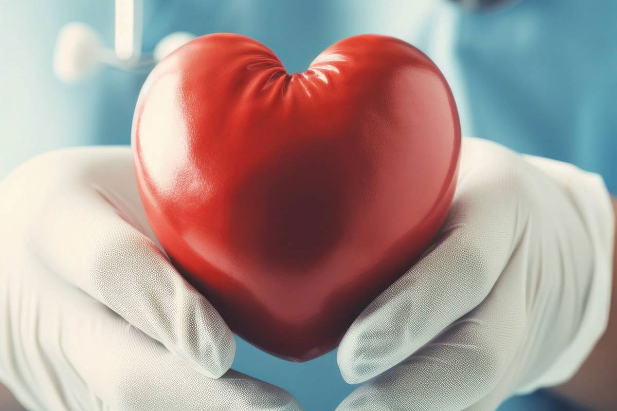 These Are the Top Cardiologists in Westchester County in 2024