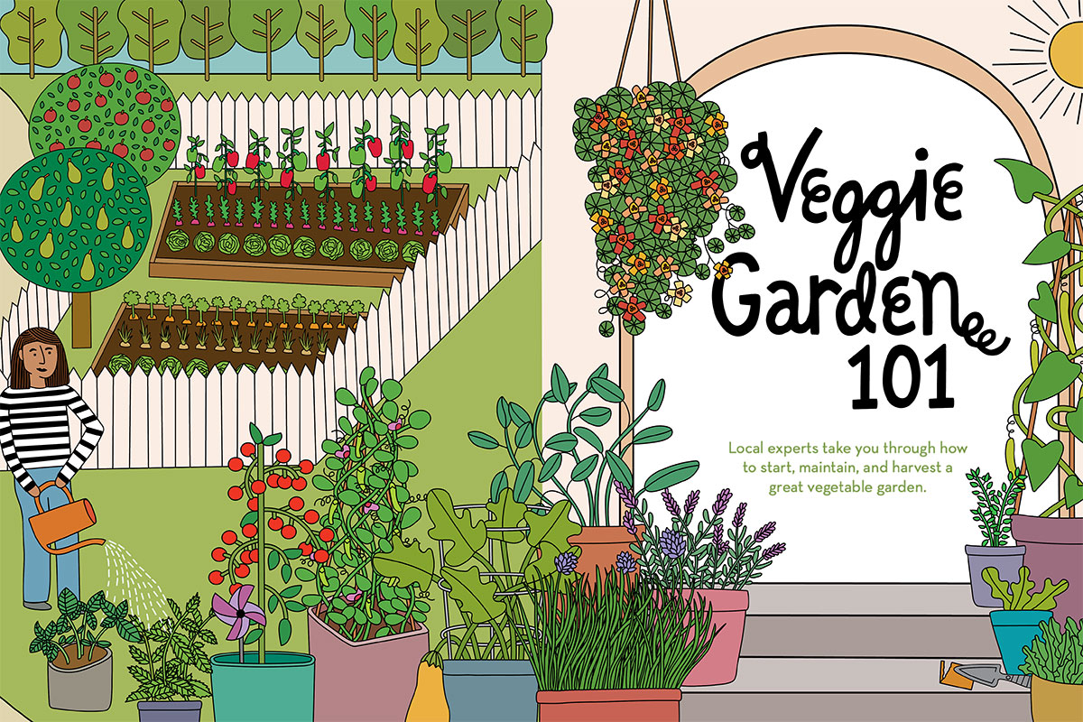 Vegetable Garden 101: How to Grow It Right in Westchester