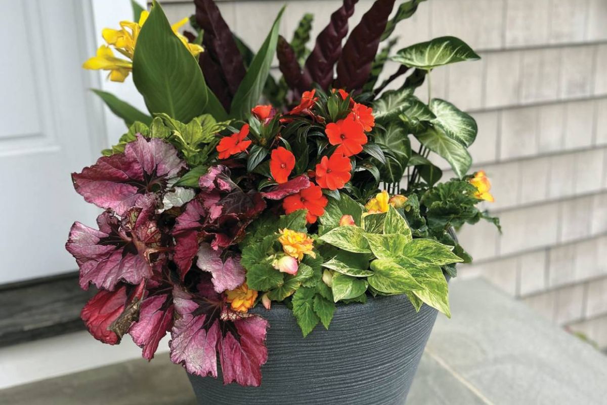 The Outdoors Contained Crafts Floral Arrangements From Rye