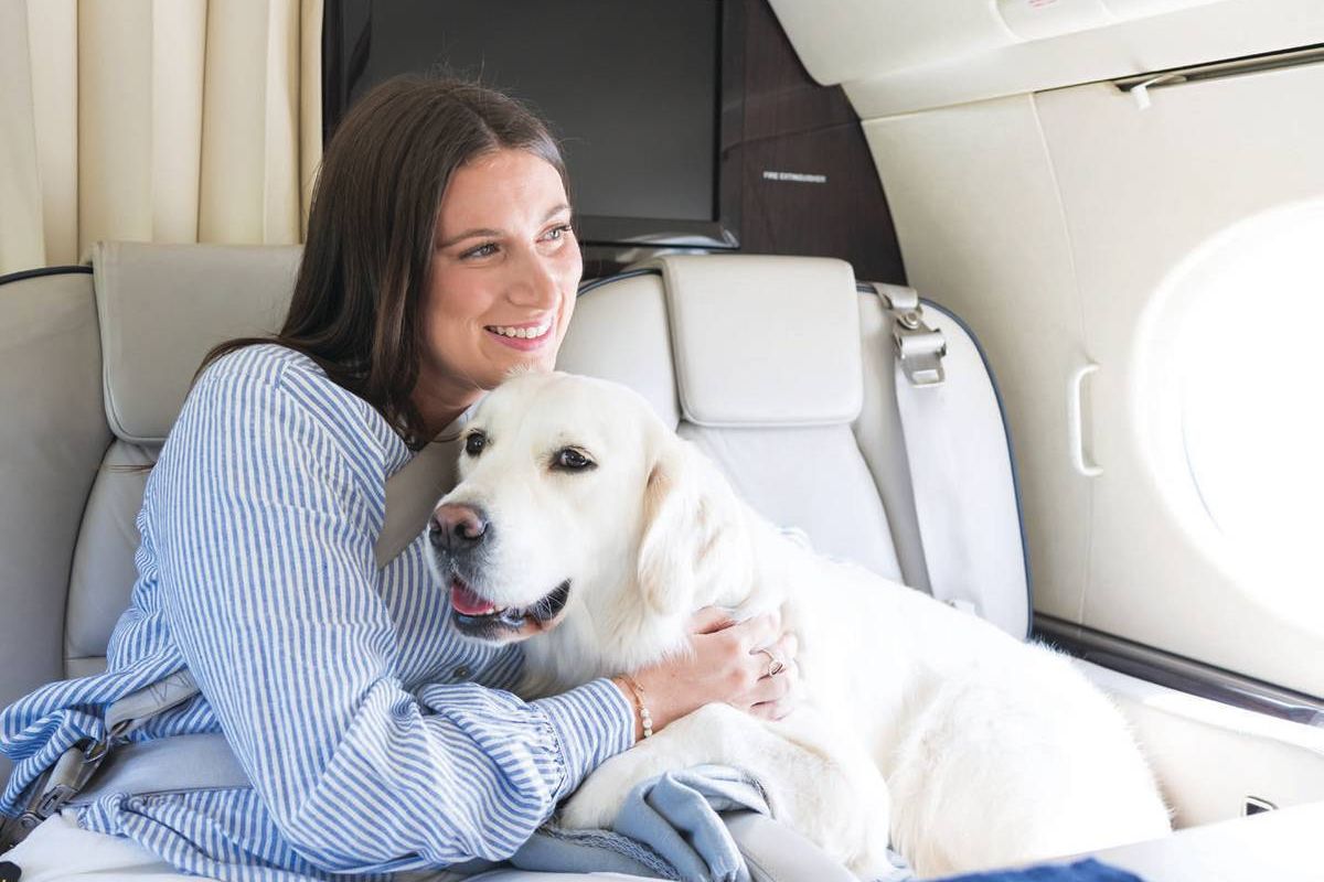 BARK Air: Dog-Friendly Travel From Westchester County Airport