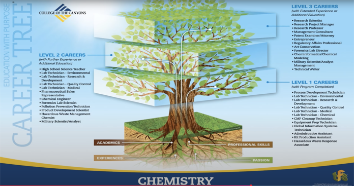 Career Trees Can Support Job Clarity for Westchester Students