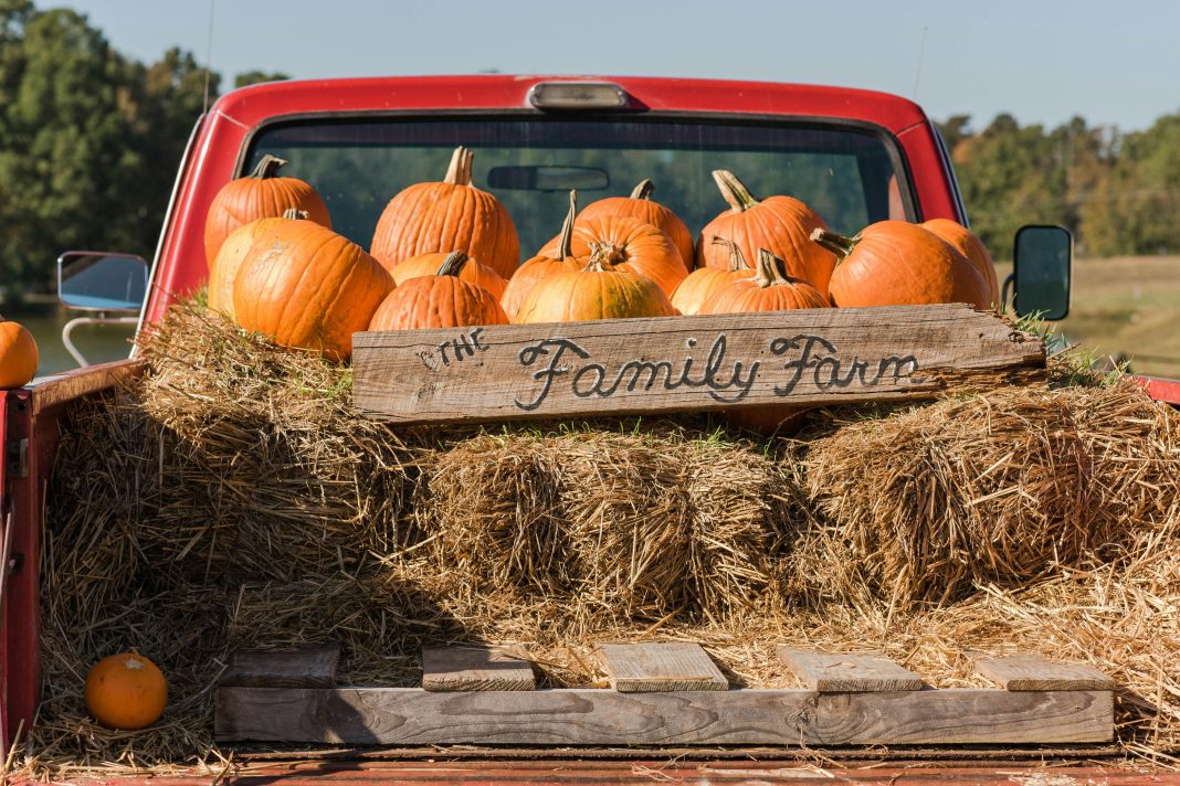 5 Hayride Spots in and Around Westchester Worth Visiting This Fall