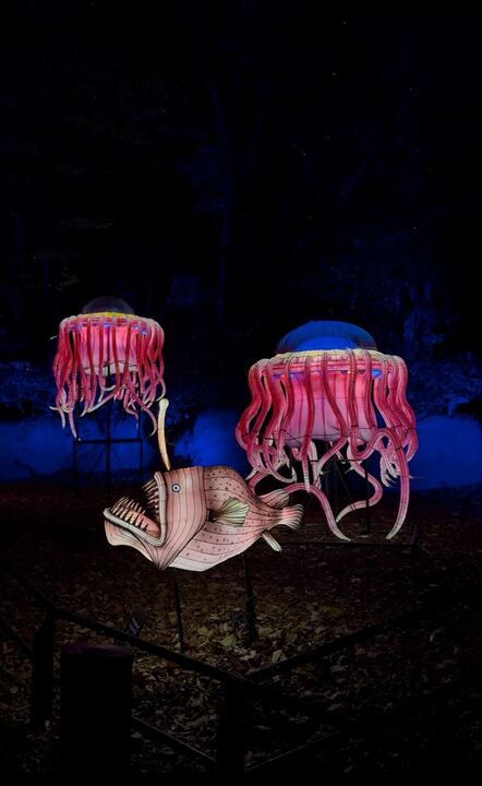 The Bronx Zoo Delivers a Wild and Wonderful Holiday Light Show