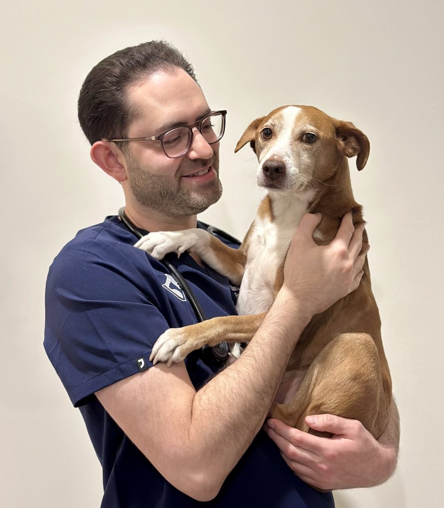 24-Hour Veterinary Center to Open in Mamaroneck