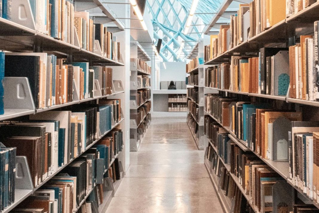 8 Libraries With Free Summer Programs for Kids in Westchester