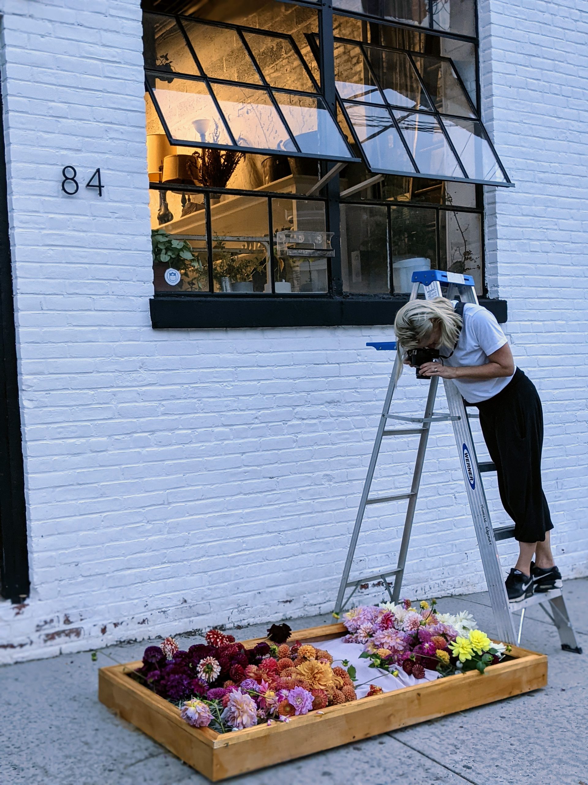 Meet the Westchester Florist Turning Flowers into Wallpaper Designs